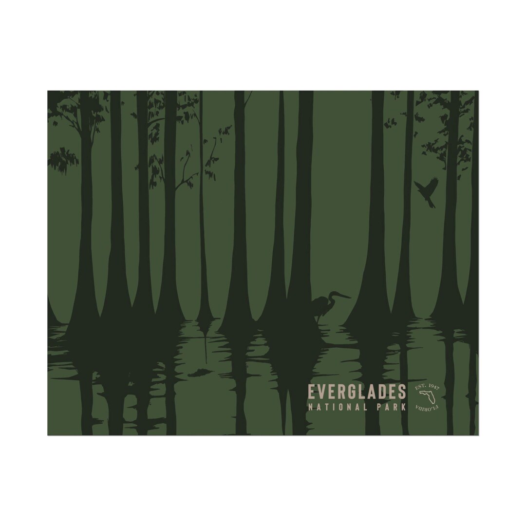 Everglades National Park Florida Poster, Rolled Posters, Cypress Trees ...