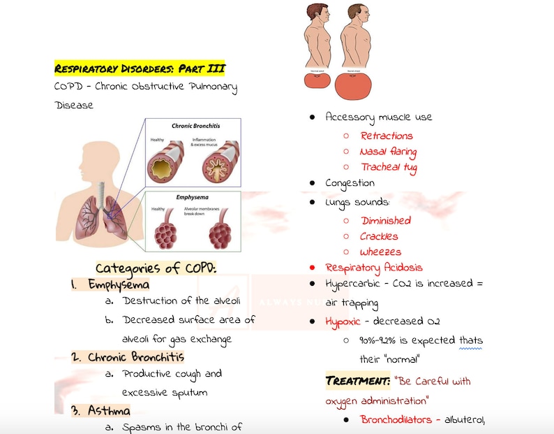 Nursing Respiratory Notes, Respiratory NCLEX Nursing School Notes - Etsy