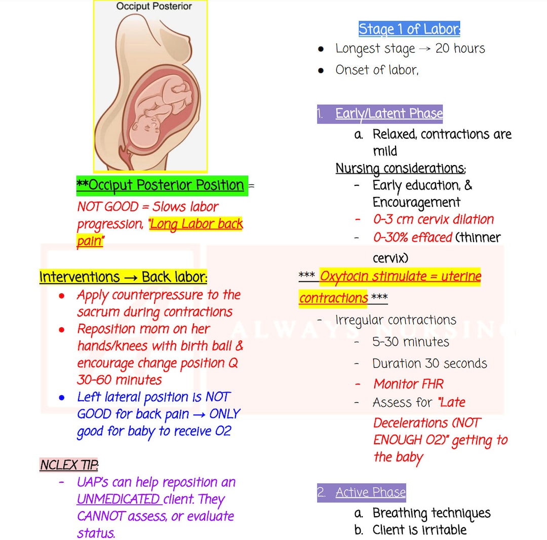 Maternity/ob Nursing School Notes, Maternity/ob Nursing NCLEX Notes - Etsy
