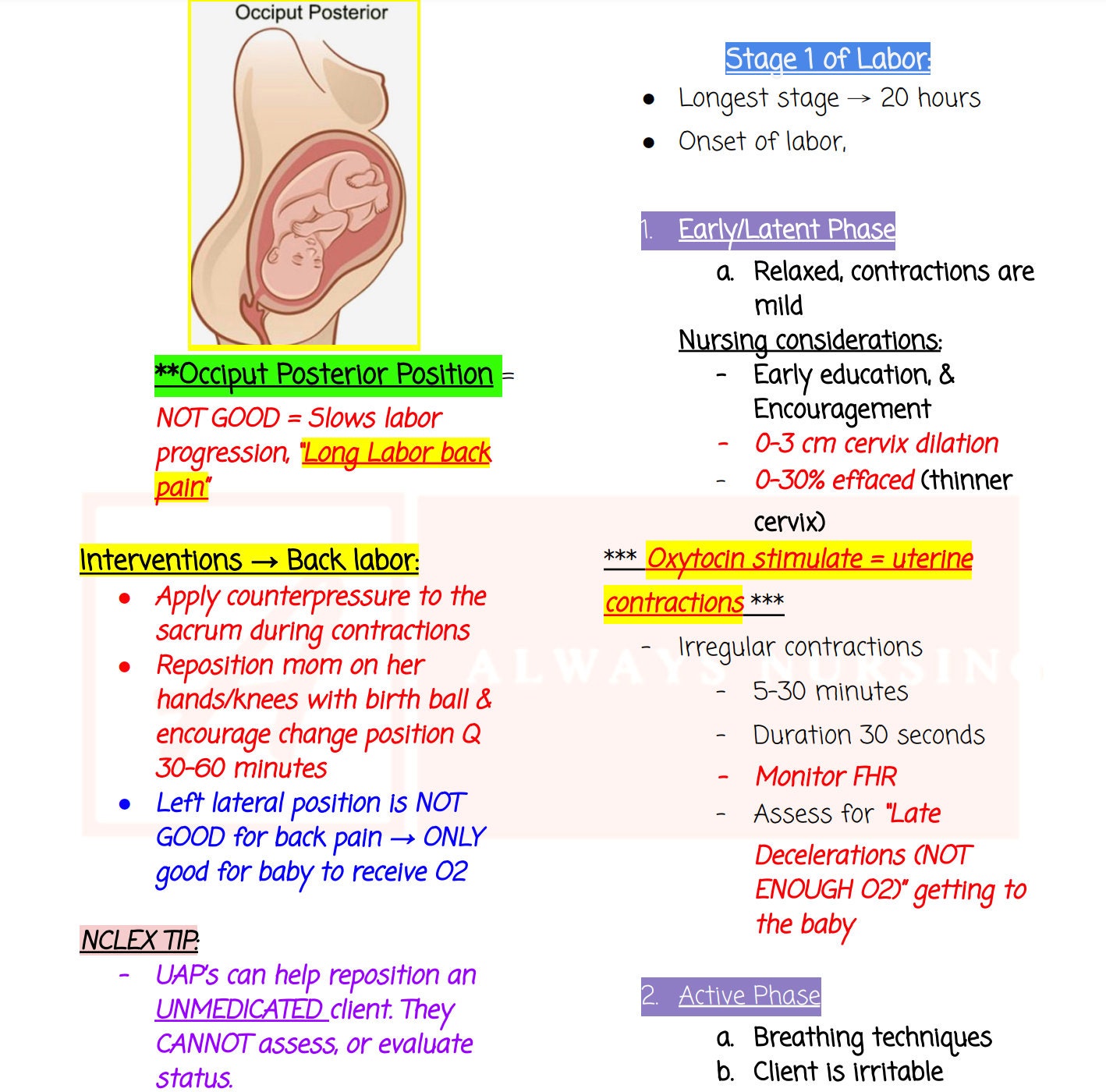 Maternity/ob Nursing School Notes, Maternity/ob Nursing NCLEX Notes - Etsy