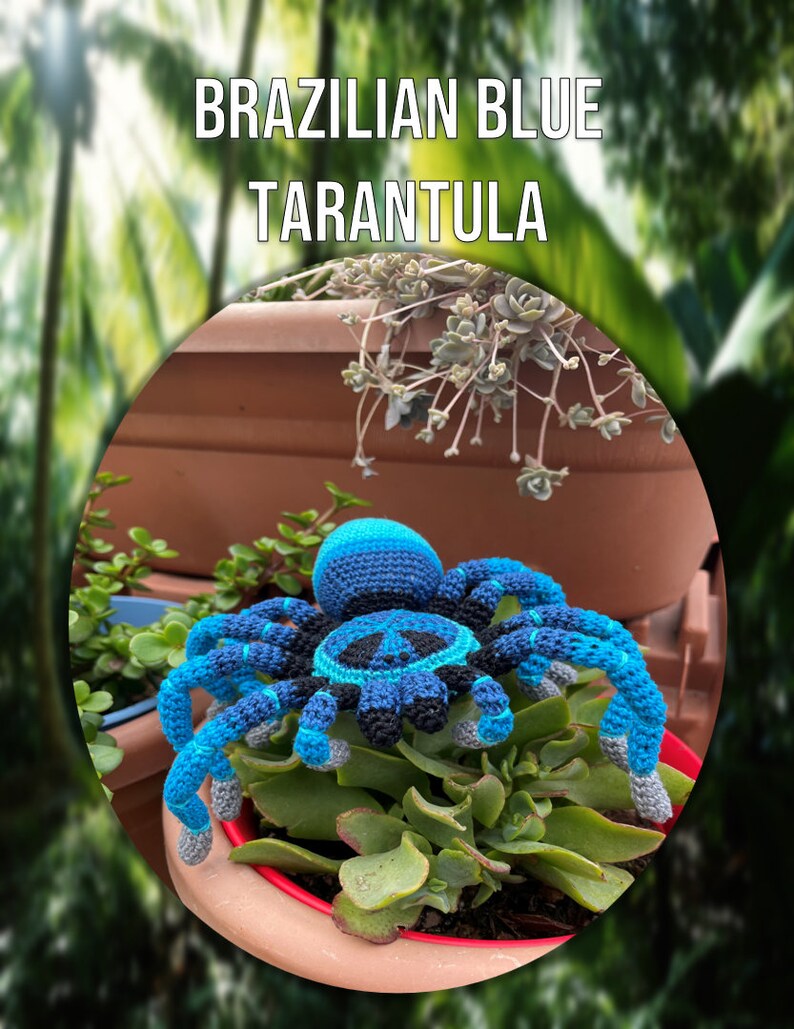 Brazilian Blue Tarantula Crochet Pattern Spider Crochet Pattern Bug ...