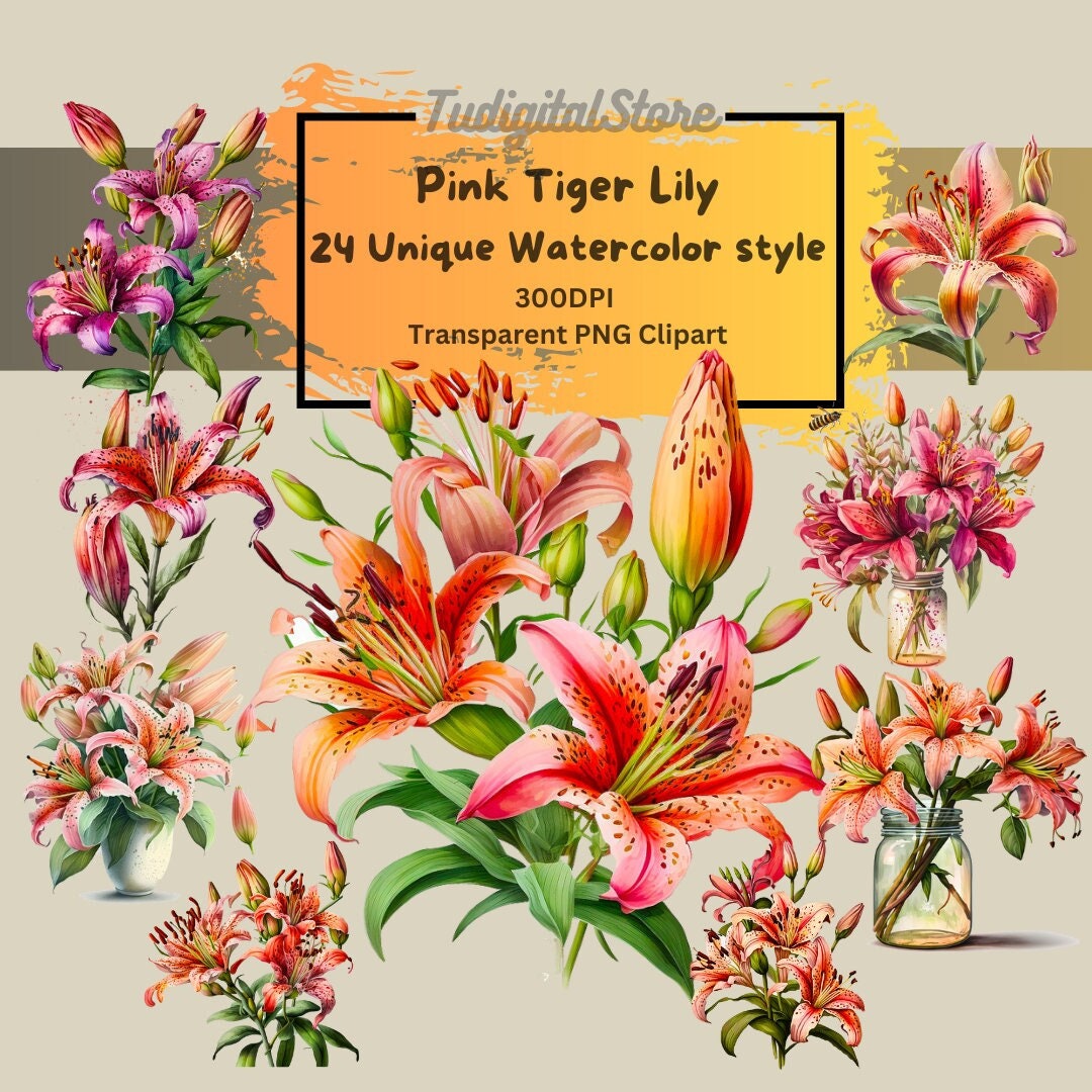Watercolor Pink Tiger Lily Clipart - 24 Pink Lilies in PNG Format ...