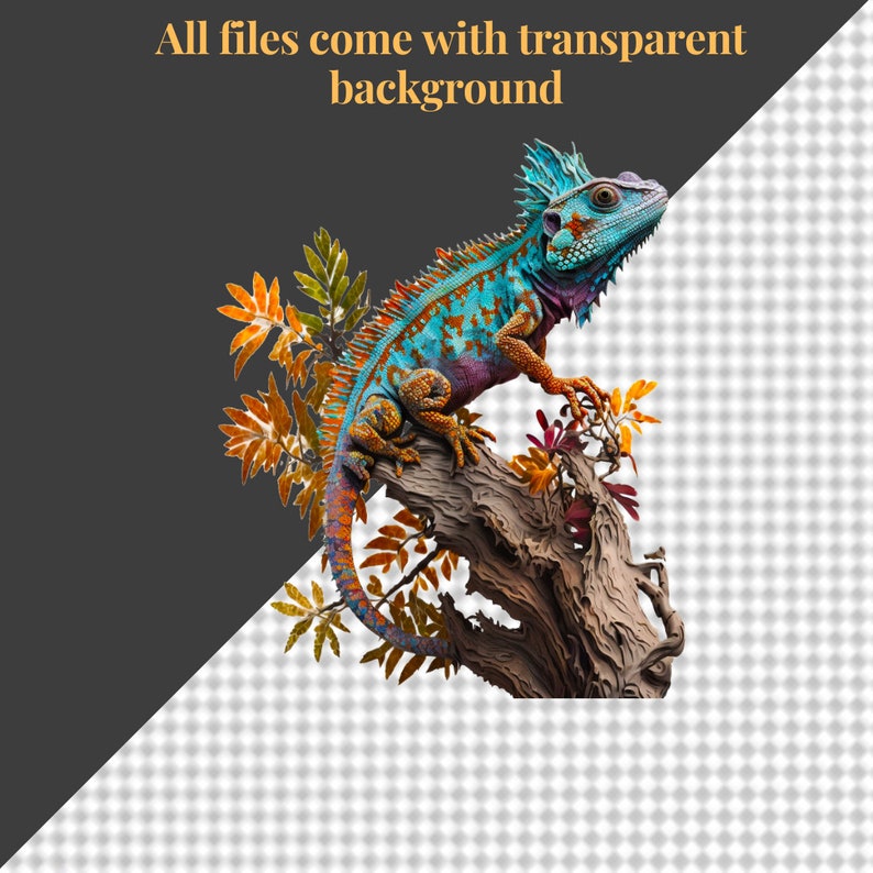 Colorful Lizard Clipart - 24 PNG Bundle - Lizard Lover - Reptile ...