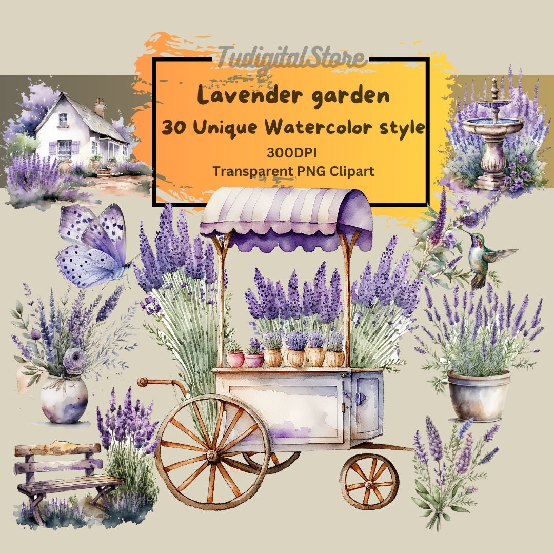 Watercolor Lavender Garden Clipart - 30 Lavender Garden PNG - Purple ...