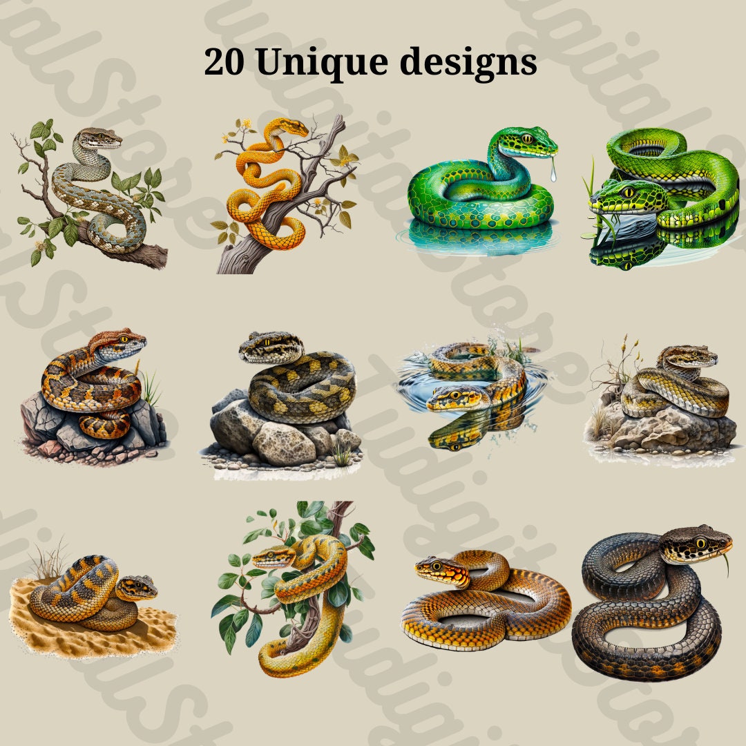 Snake Clipart 20 Reptile Clipart Bundle Green Snake Animal Clipart ...