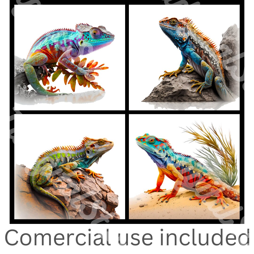 Colorful Lizard Clipart - 24 PNG Bundle - Lizard Lover - Reptile ...