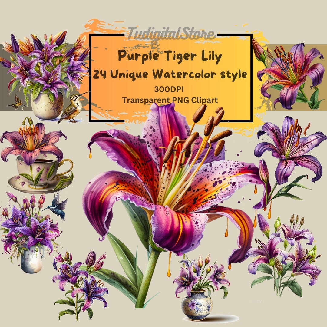 Watercolor Purple Tiger Lily Clipart - 24 Lilies in PNG Format - Summer ...