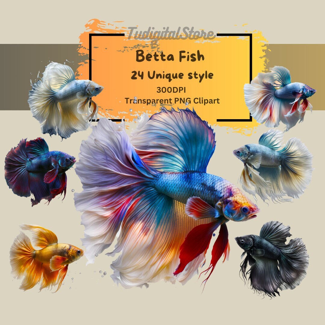 Colorful Betta Fish Digital Illustration Bundle 24 Betta Fish PNG ...