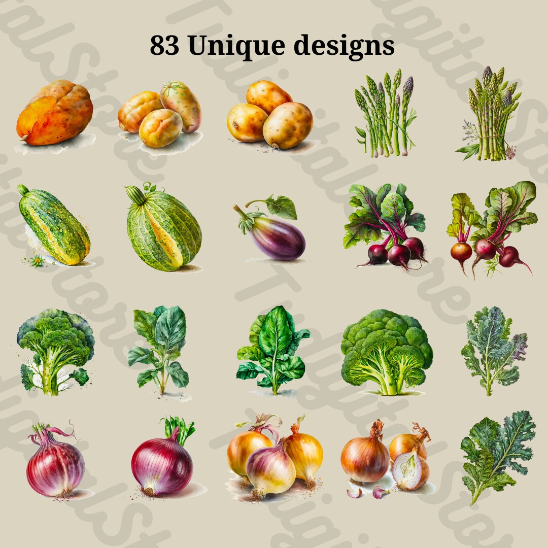 Watercolor Vegetable & Herb Clipart 83 PNG Summer Vegetables Vegetable ...