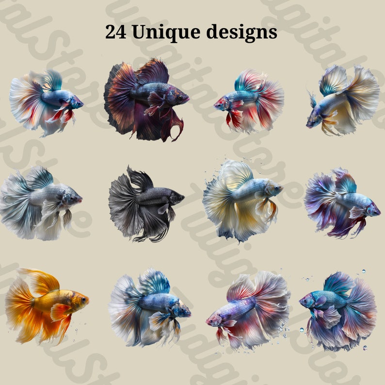 Colorful Betta Fish Digital Illustration Bundle 24 Betta Fish PNG ...