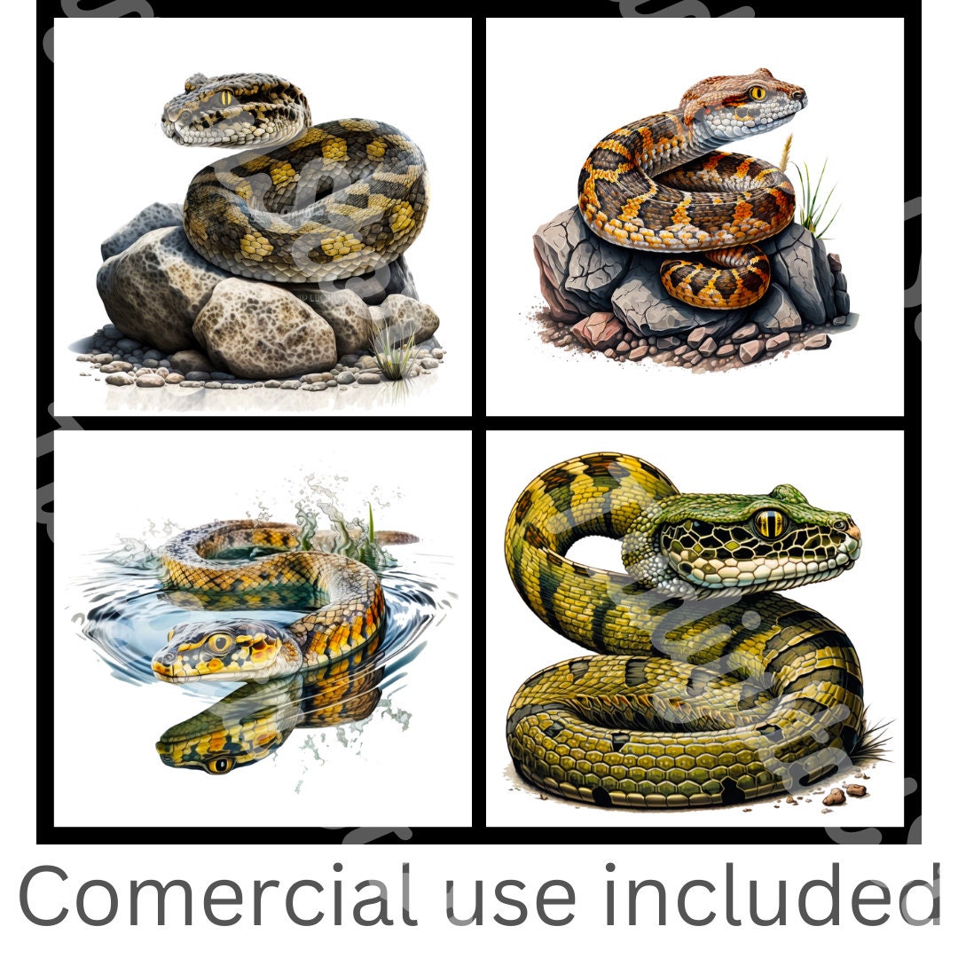 Snake Clipart 20 Reptile Clipart Bundle Green Snake Animal Clipart ...