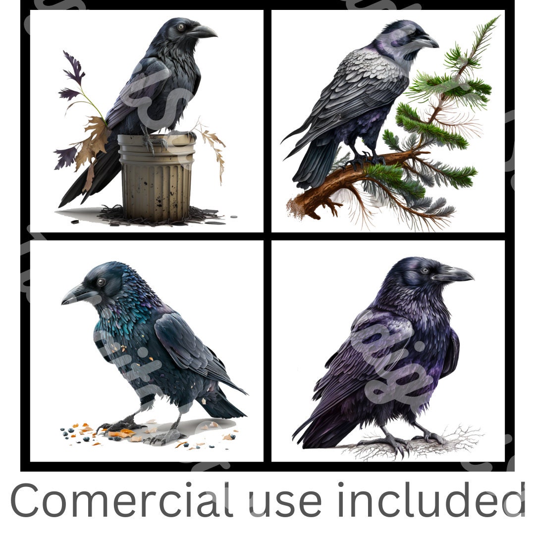 Raven Clipart Bird Animal Illustrations Flying Art Dark - Etsy