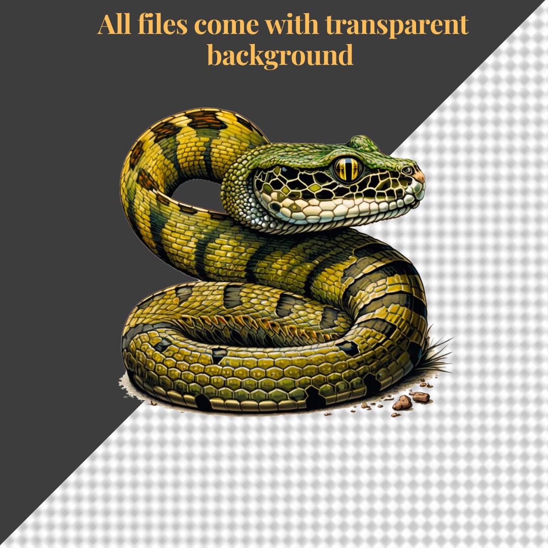Snake Clipart 20 Reptile Clipart Bundle Green Snake Animal Clipart ...