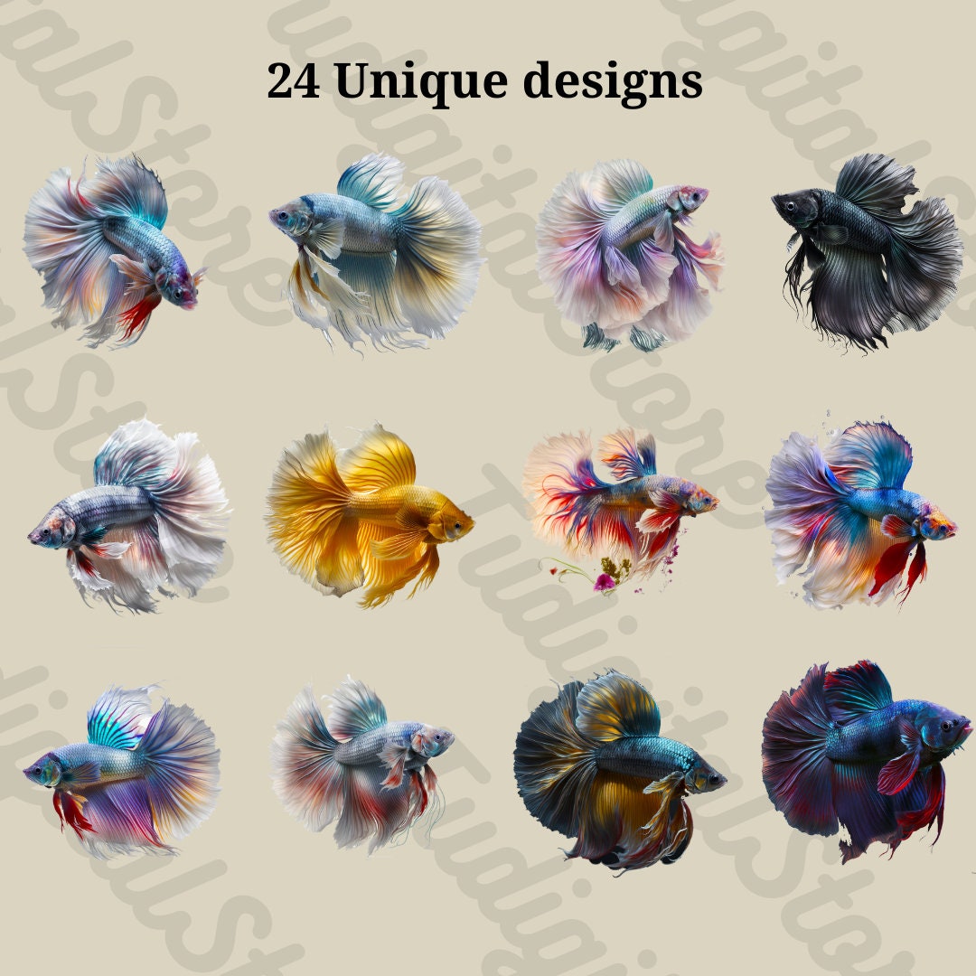 Colorful Betta Fish Digital Illustration Bundle 24 Betta Fish PNG ...