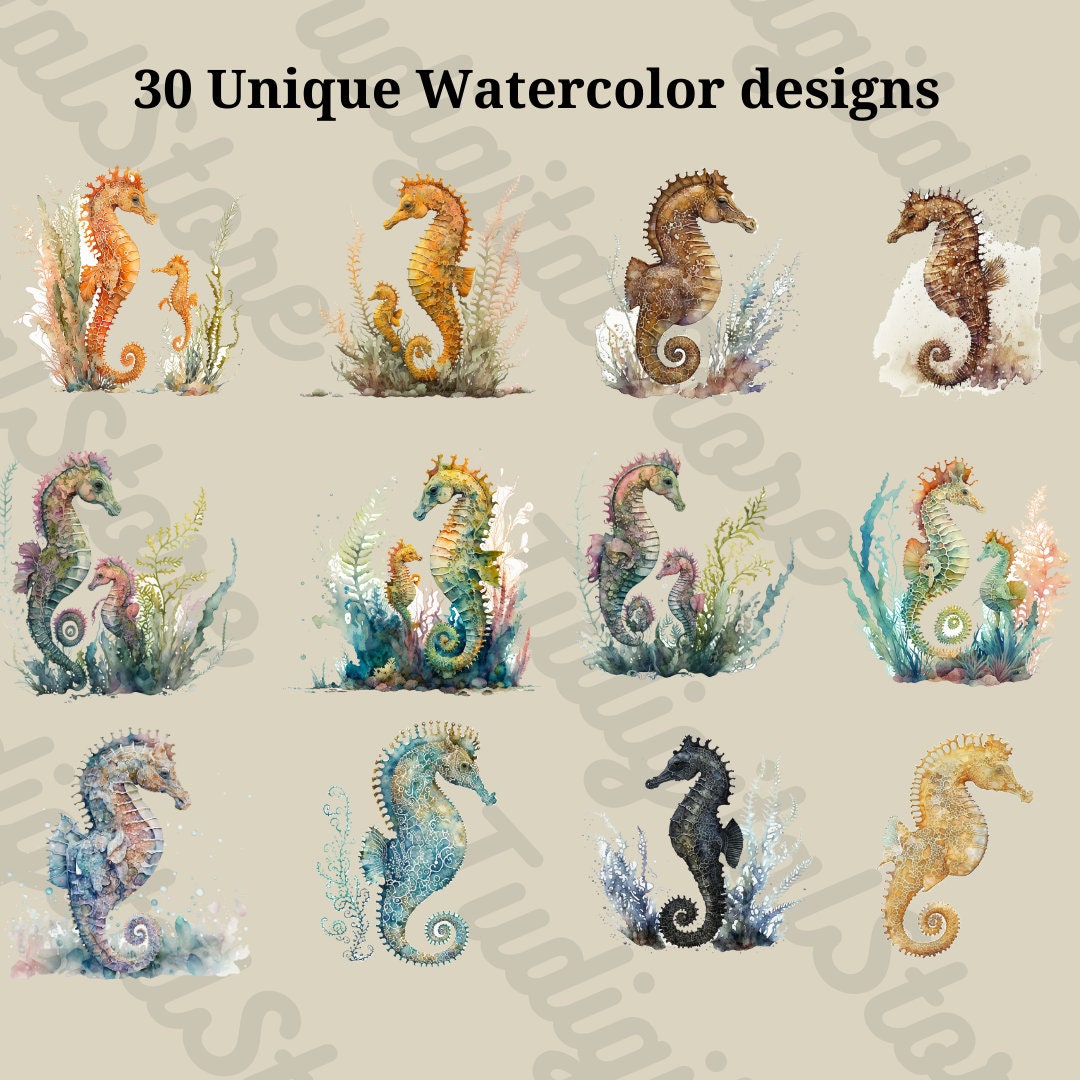 Watercolor Seahorse Clipart 30 Ocean Animals PNG Colorful Seahorse Clip ...