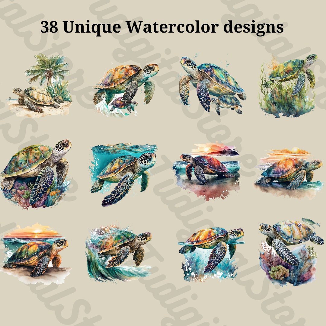 Watercolor Colorful Sea Turtle Clipart - 38 Ocean Animals PNG - Cute ...