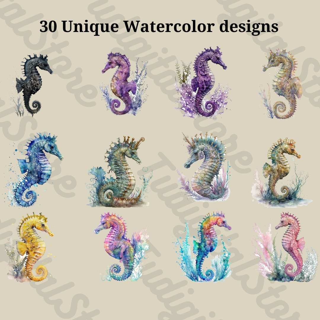 Watercolor Seahorse Clipart 30 Ocean Animals PNG Colorful Seahorse Clip ...