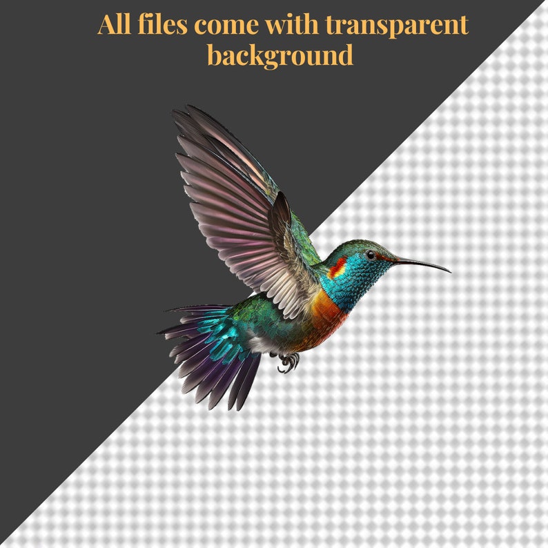 Hummingbirds Clipart - 20 Summer Bird PNG - Summertime Cute Birds and ...