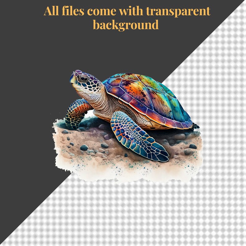 Watercolor Colorful Sea Turtle Clipart - 38 Ocean Animals PNG - Cute ...
