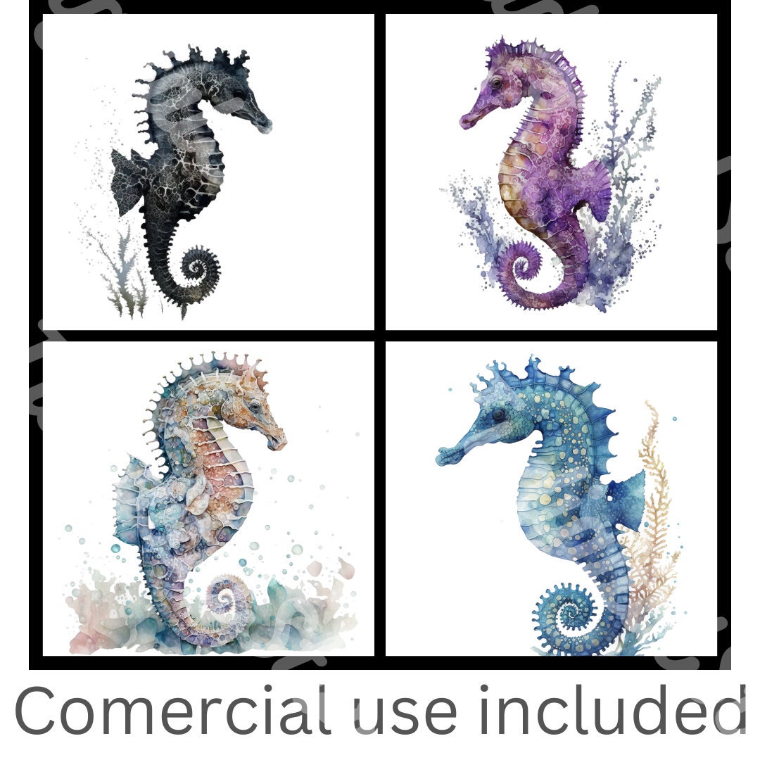 Watercolor Seahorse Clipart 30 Ocean Animals PNG Colorful Seahorse Clip ...