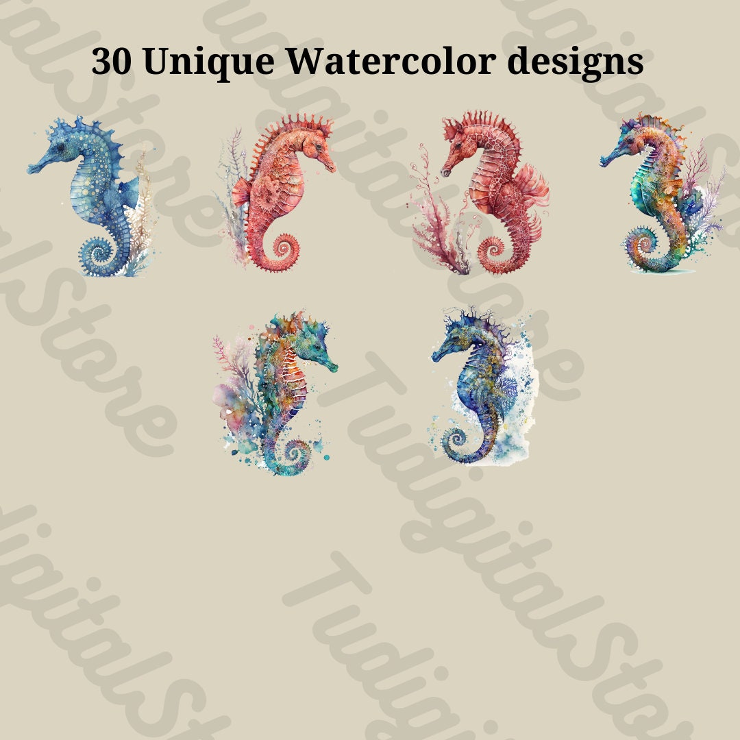 Watercolor Seahorse Clipart 30 Ocean Animals PNG Colorful Seahorse Clip ...