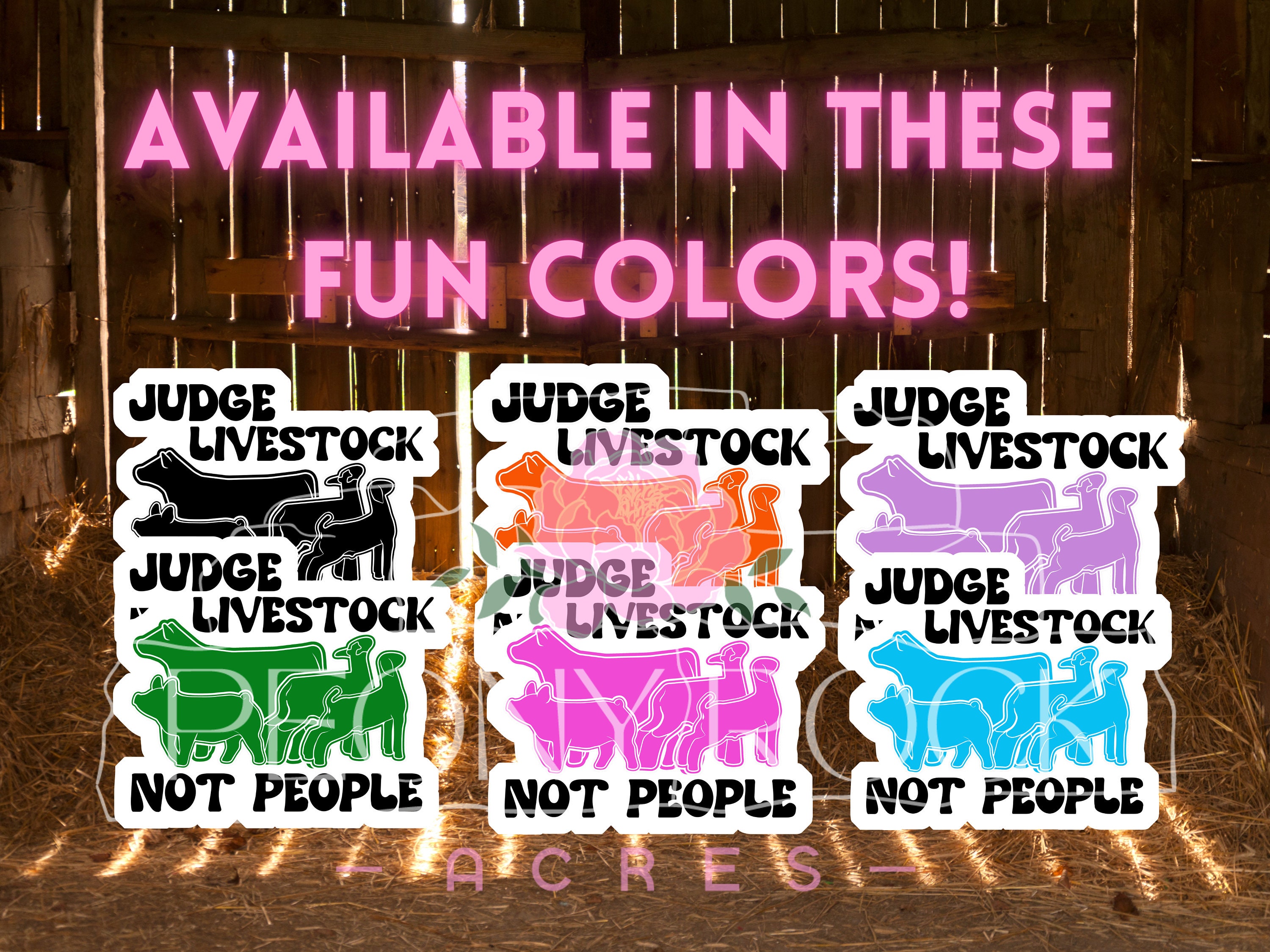 Livestock Sticker Show Box Stock Show Cattle Sticker Show Goat Sticker ...