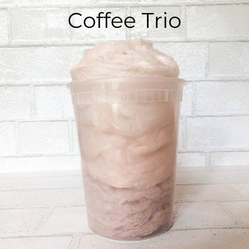 Gourmet Cotton Candy Sample Flavors Sweet Treats Party Favors Birthday ...