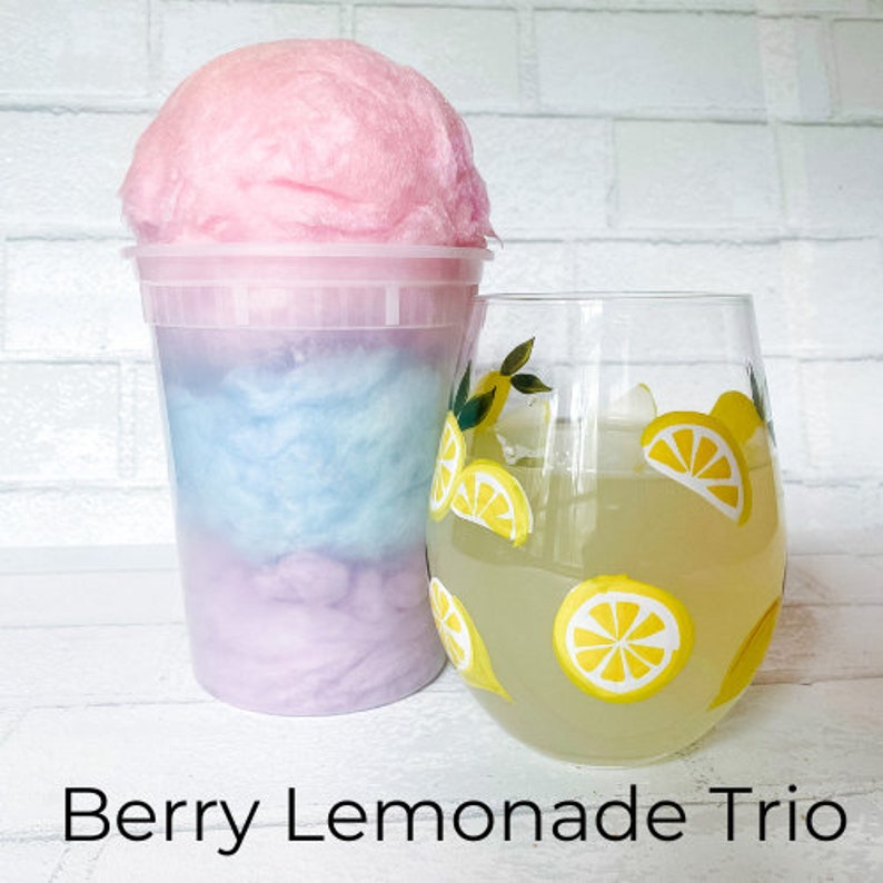 Gourmet Cotton Candy Sample Flavors Sweet Treats Party - Etsy