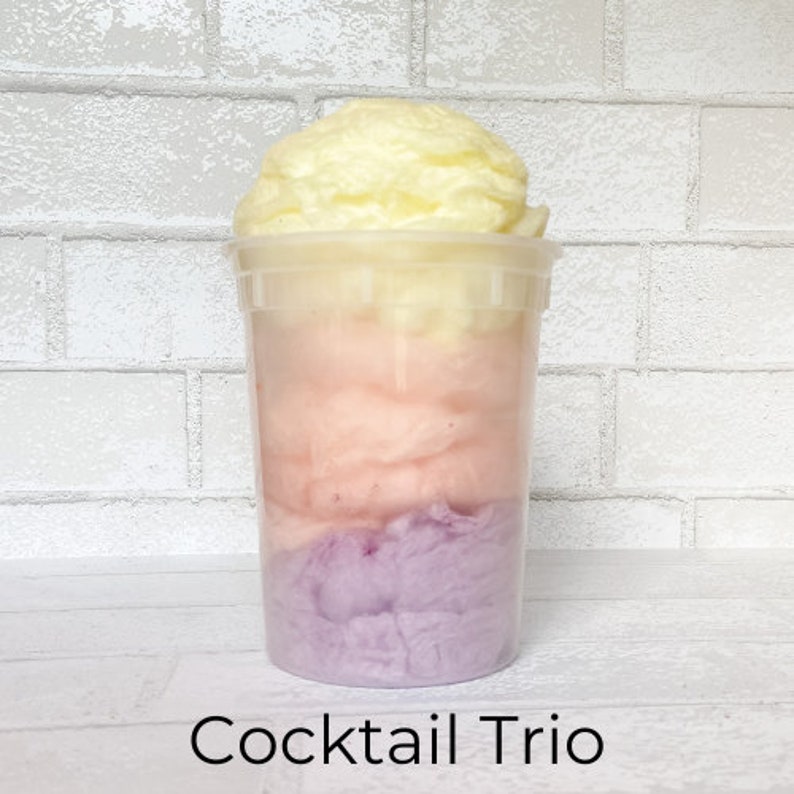 Gourmet Cotton Candy Sample Flavors Sweet Treats Party Favors Birthday ...