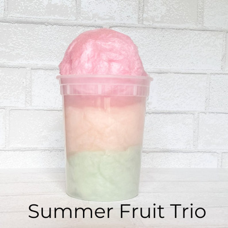 Gourmet Cotton Candy Sample Flavors Sweet Treats Party Favors Birthday ...