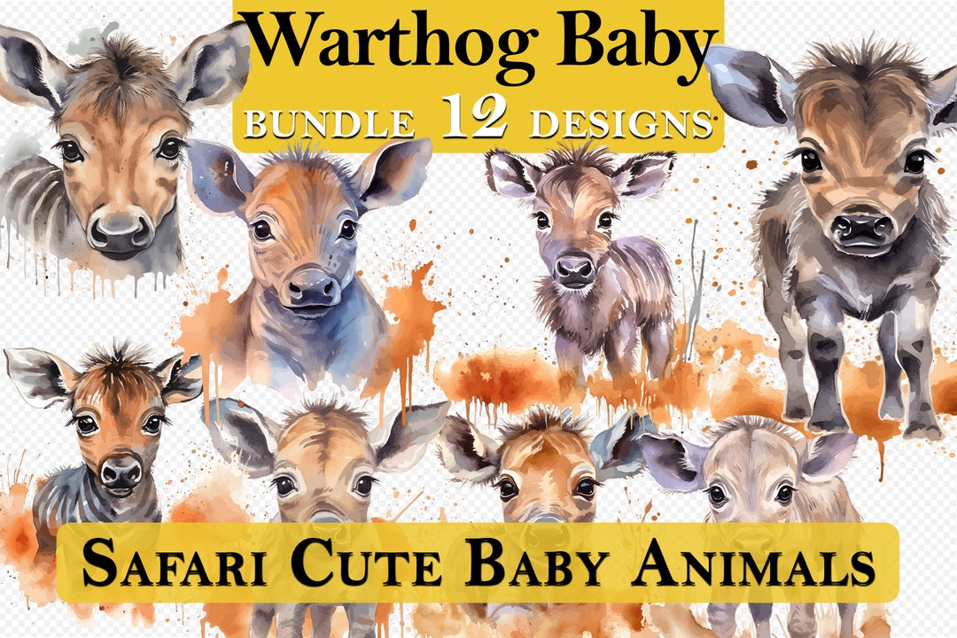 12 Warthog Safari Watercolor Clipart Bundle, Cute Animal, Baby Shower ...