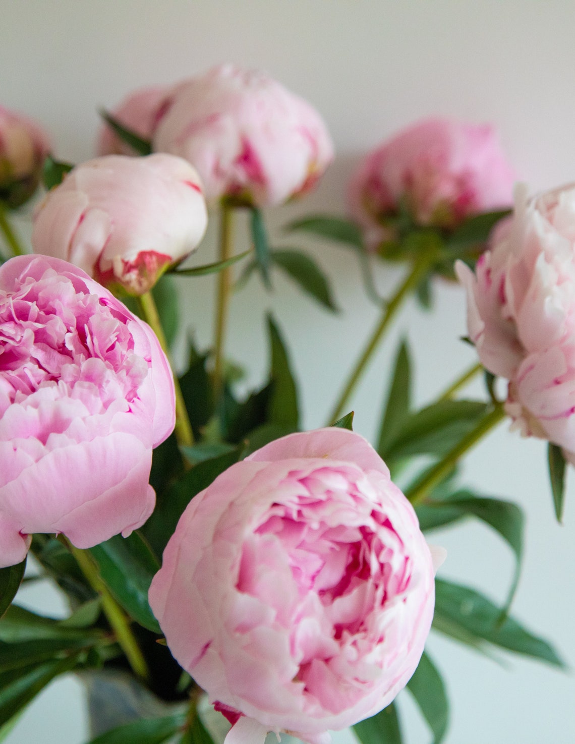 Peony Artwork Wall Decor Digital Prints - Etsy
