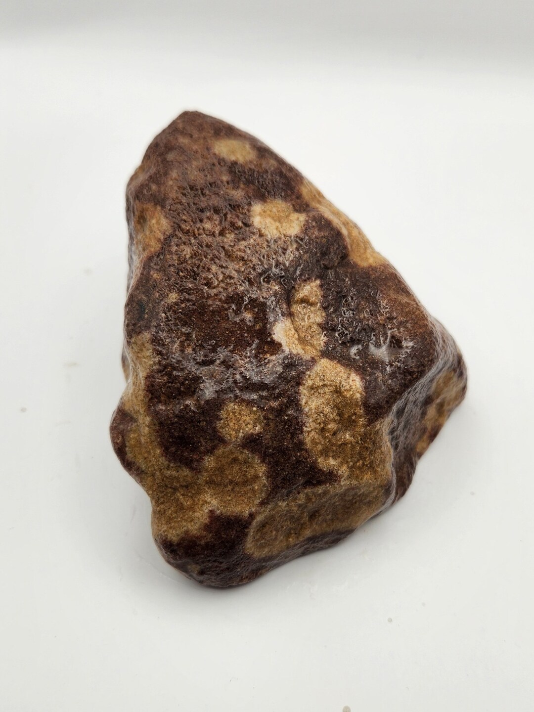 Jacobsville Sandstone Specimen Michigan Rocks - Etsy