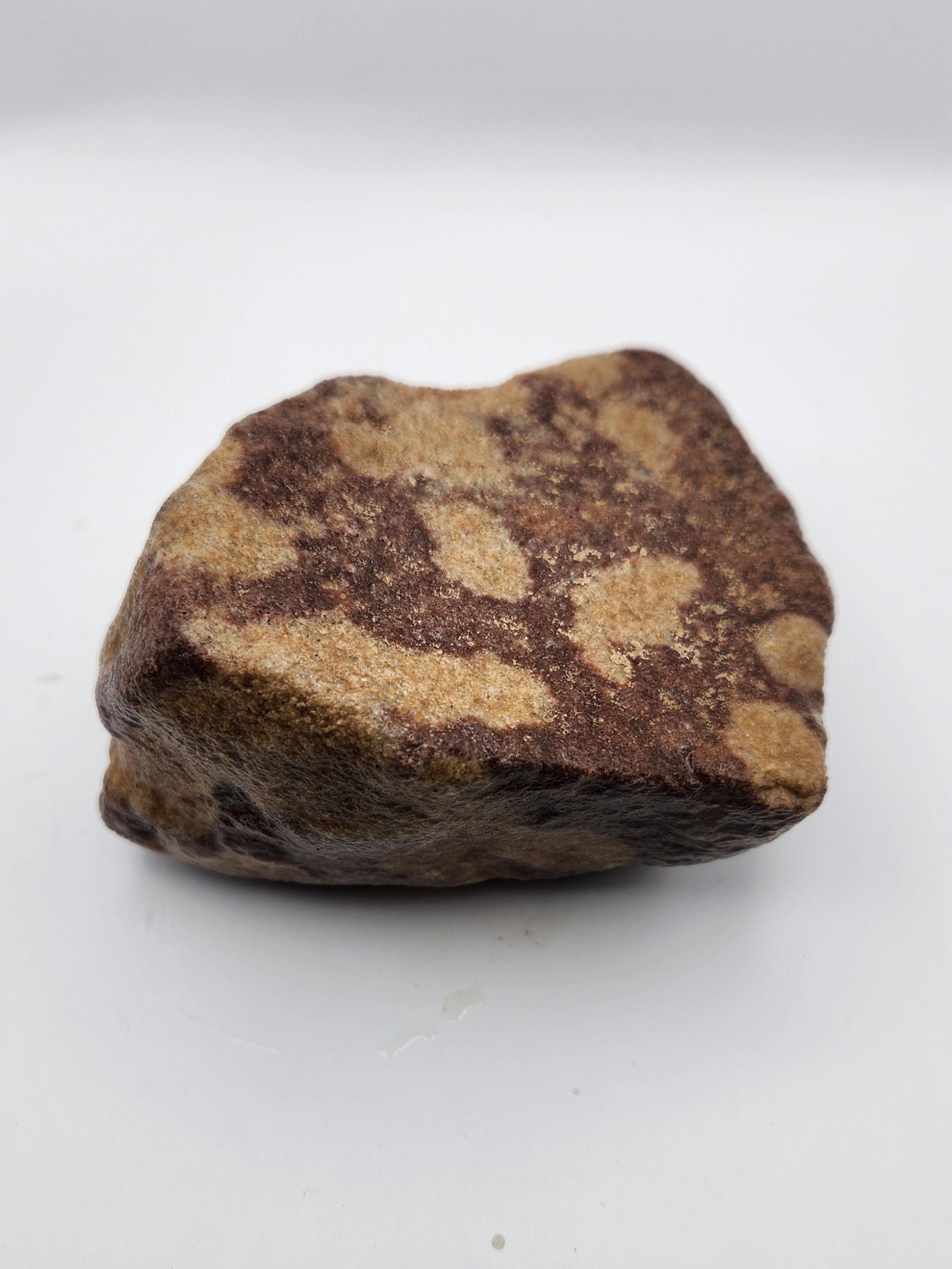 Jacobsville Sandstone Specimen Michigan Rocks - Etsy
