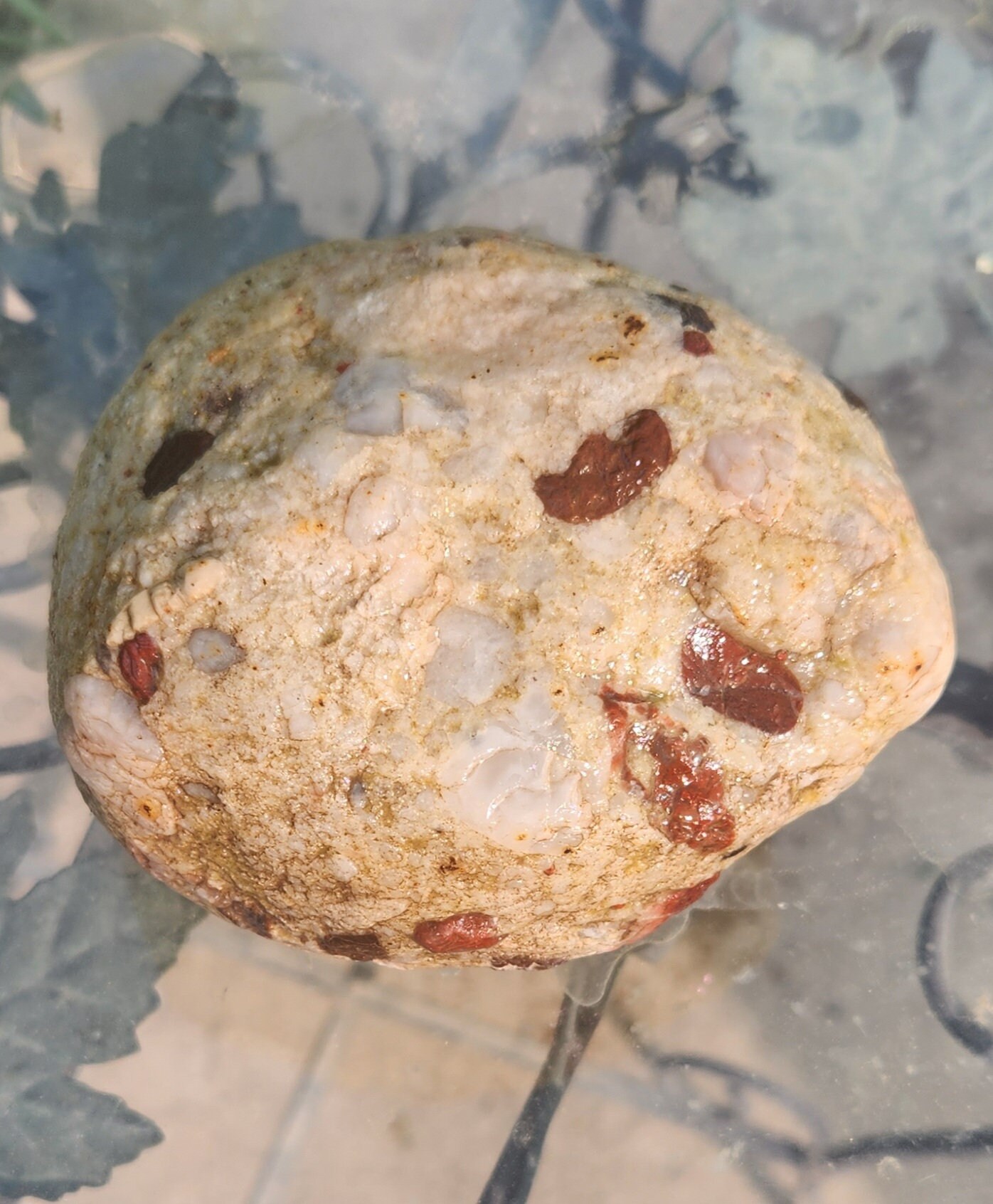 Large Michigan Pudding Stone 2 Lb. - Etsy