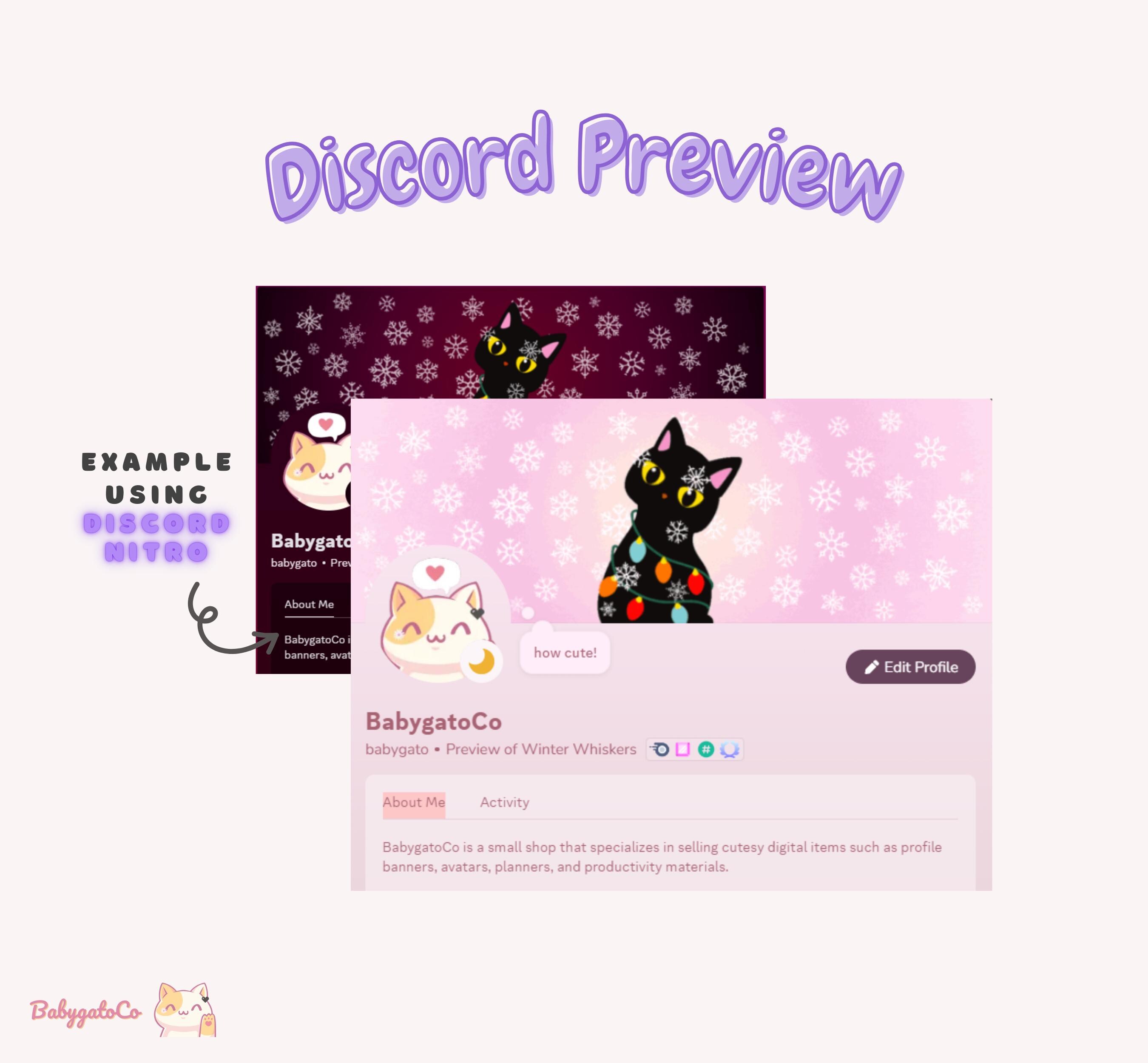 Set of 5 Animated Light Holiday Winter Discord Profile Banners for ...