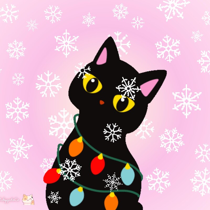 Cat Discord Banner - Etsy