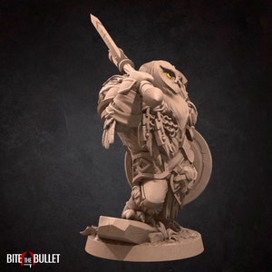 Owlfolk Barbarian Owl Tengu/kenku Fighter 2 Variations - Etsy