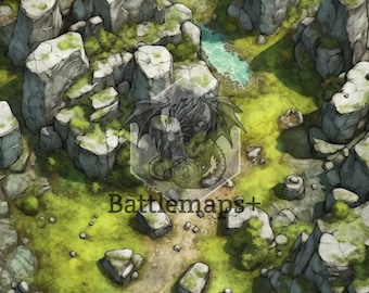 The Blood Cave Battlemap, Dnd Battle Map, D&D, Battle Map, Dungeons and ...