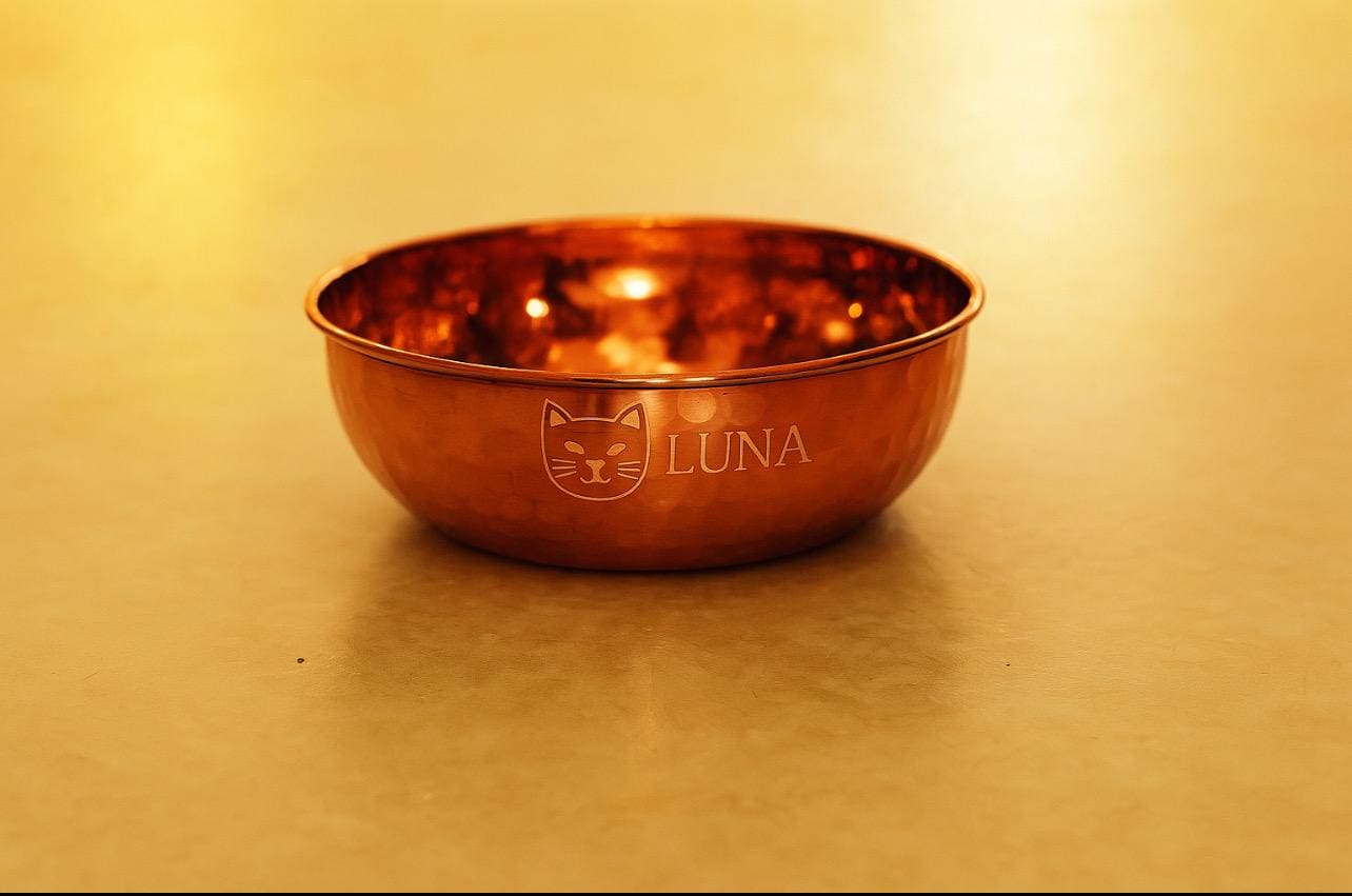 Personalized Copper Pet Bowls: Hand Hammered Cat & Dog Water Bowls ...