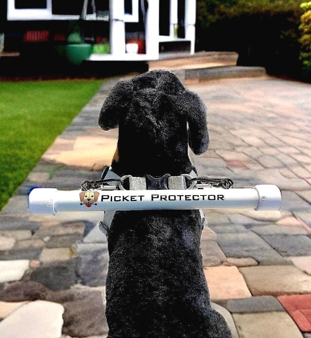 Picket Protector Elite Harness Bundle | Dog Safety Harness for ...