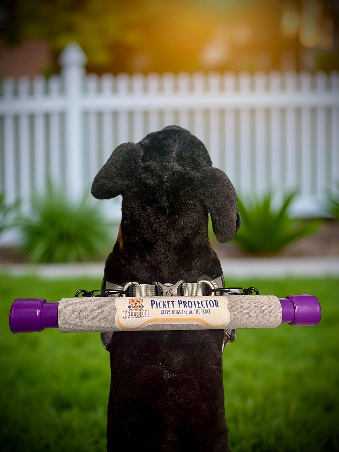 Picket Protector Elite Harness COMFORT Bundle | Dog Safety Harness for ...