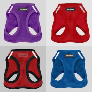 Picket Protector Classic Harness Bundle | Dog Safety for Small Dogs ...