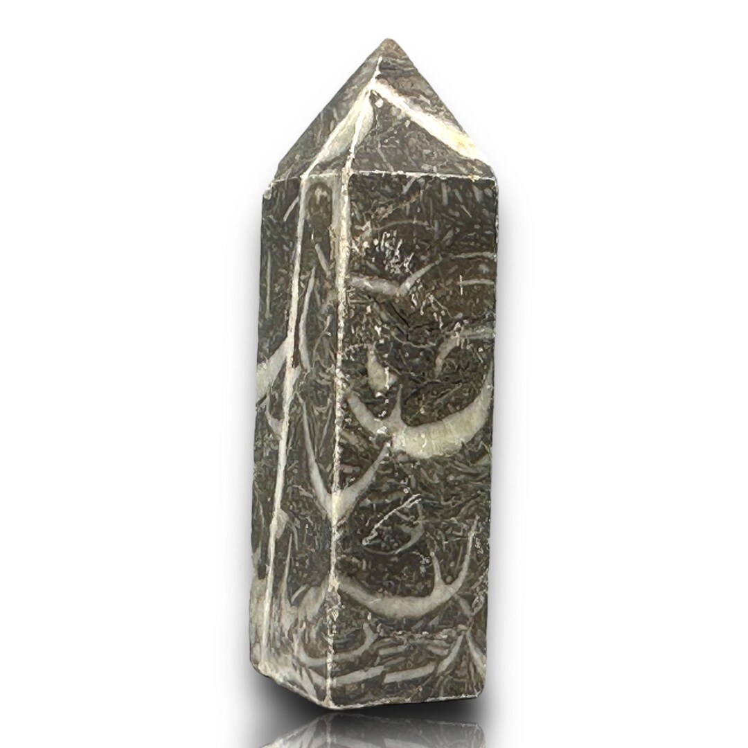 Shell Jasper Tower Black White Serenity Stability Protection 68g NWOT ...