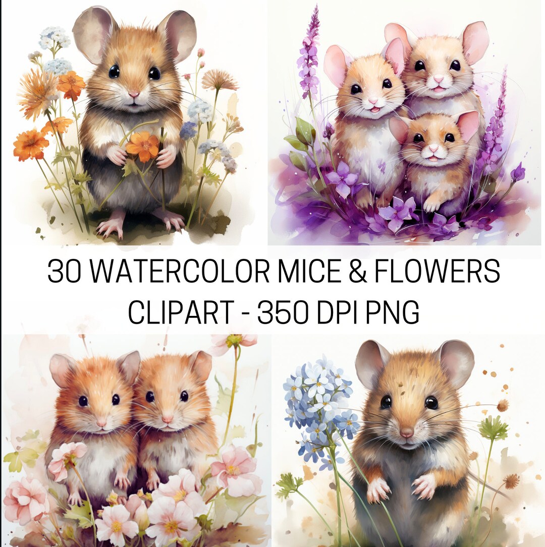 30 Mouse and Flower Clipart Illustrations, High-quality Watercolor Pngs ...