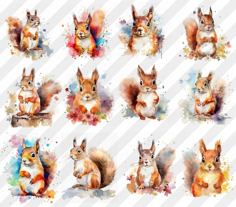 Watercolor Squirrel Clipart PNG Bundle. Transparent PNG. Commercial Use ...