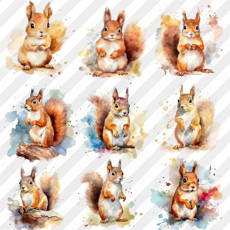 Watercolor Squirrel Clipart PNG Bundle. Transparent PNG. Commercial Use ...