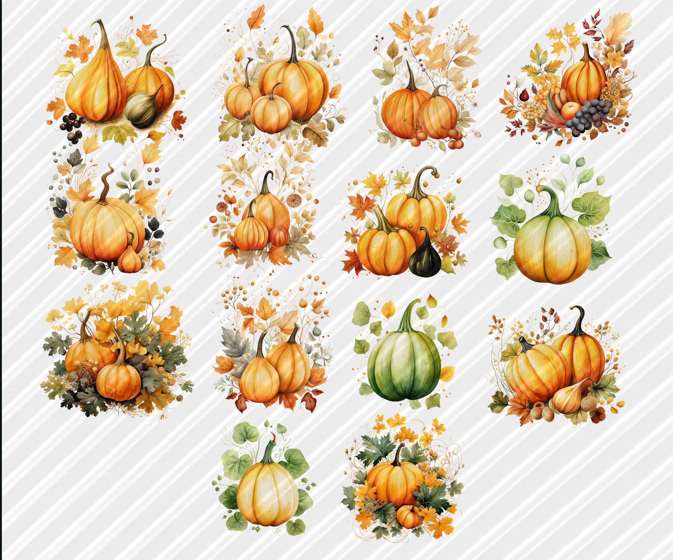 Pumpkin, Gourd & Squash Watercolor Clipart, Transparent PNG Bundle ...