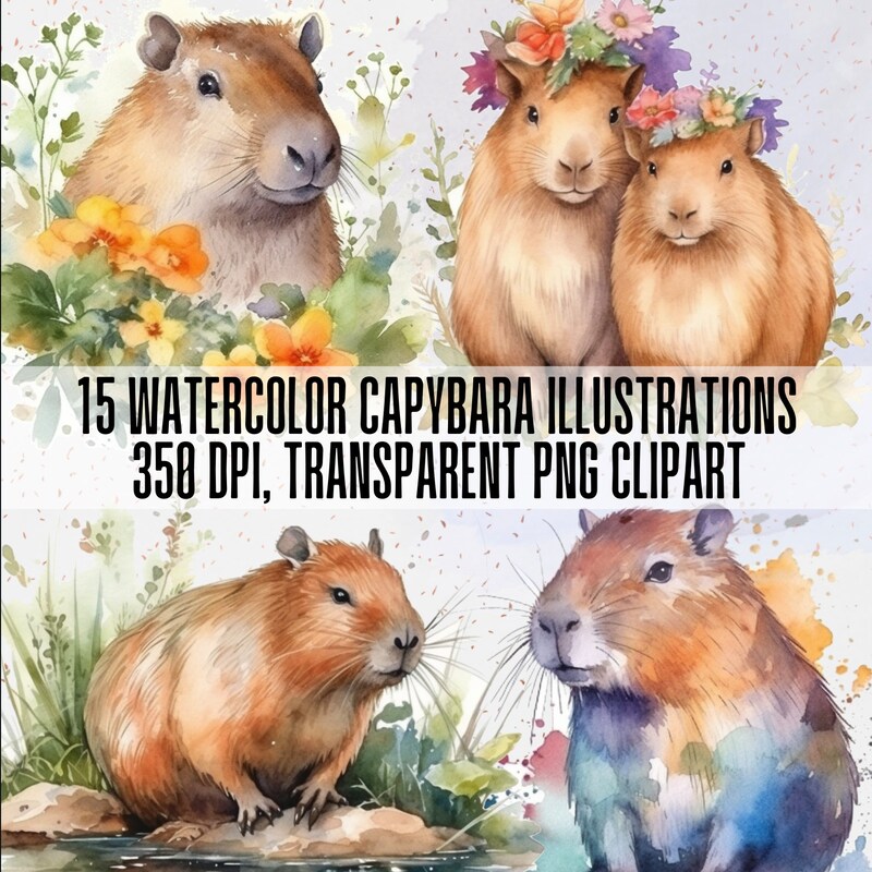 Capybara drawing - Etsy México
