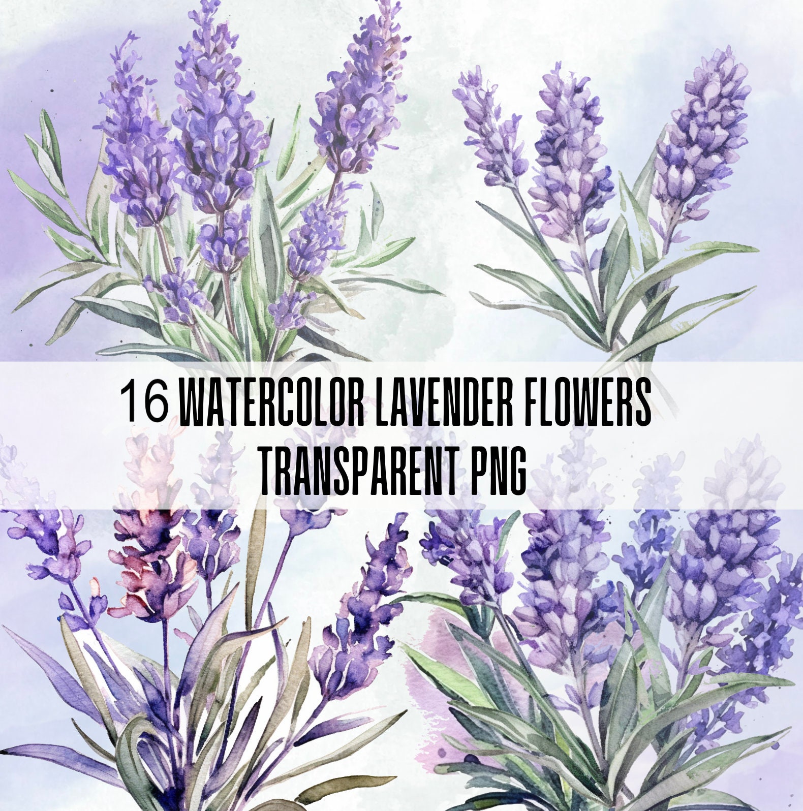 Watercolor Lavender PNG Bundle. Provence Clip Art. Lavender Garden Png ...